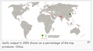 Chinese Garlic Planting Area - PIONEER GARLIC GROUP